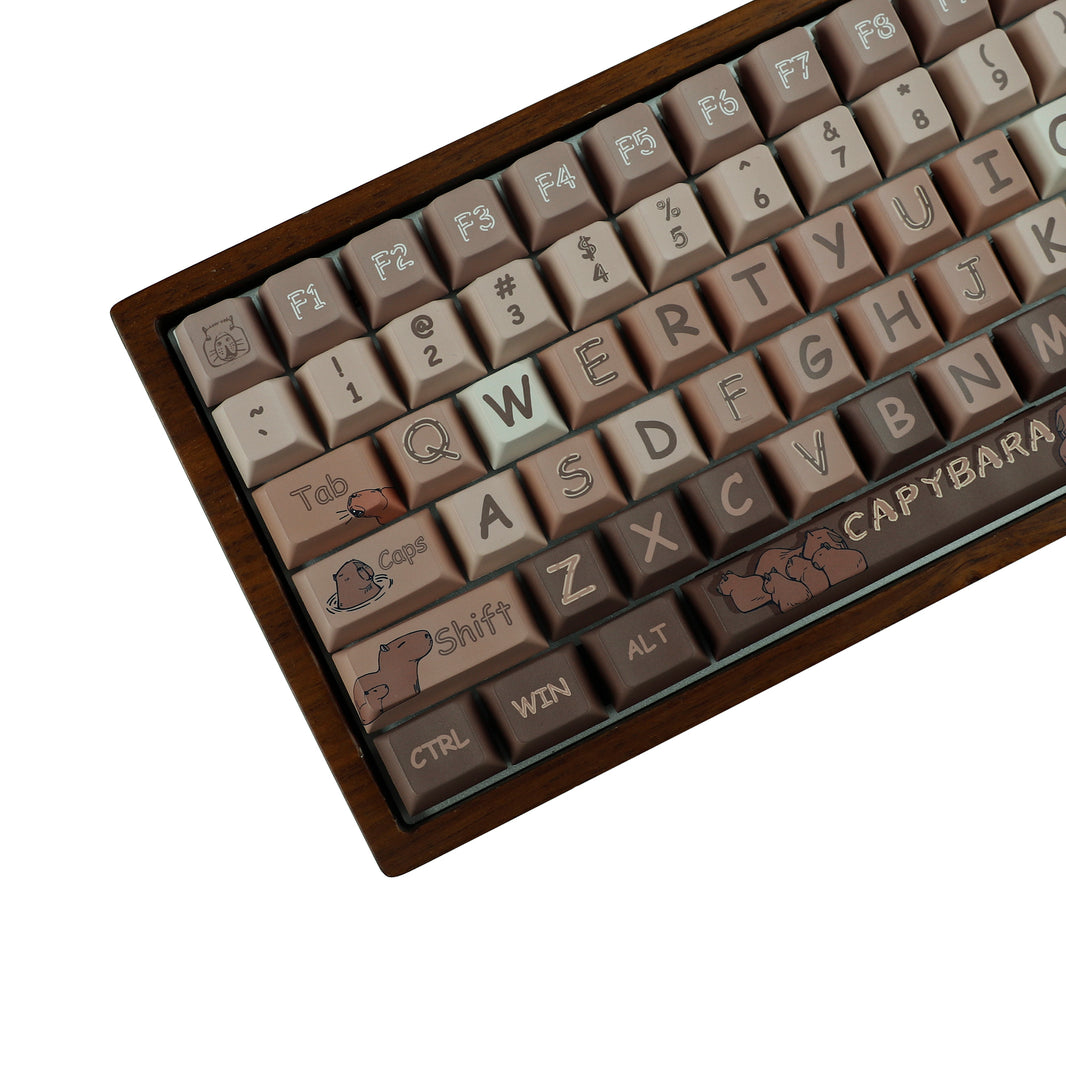 New Arrival – YMDK